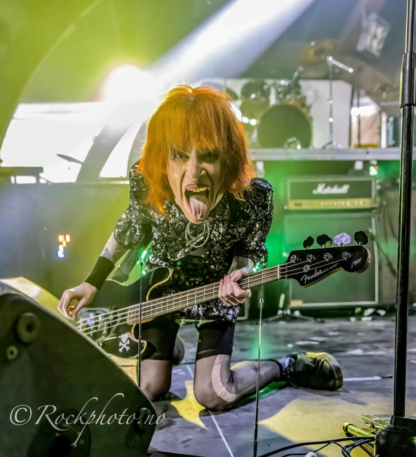 Touring Musician | The Dark